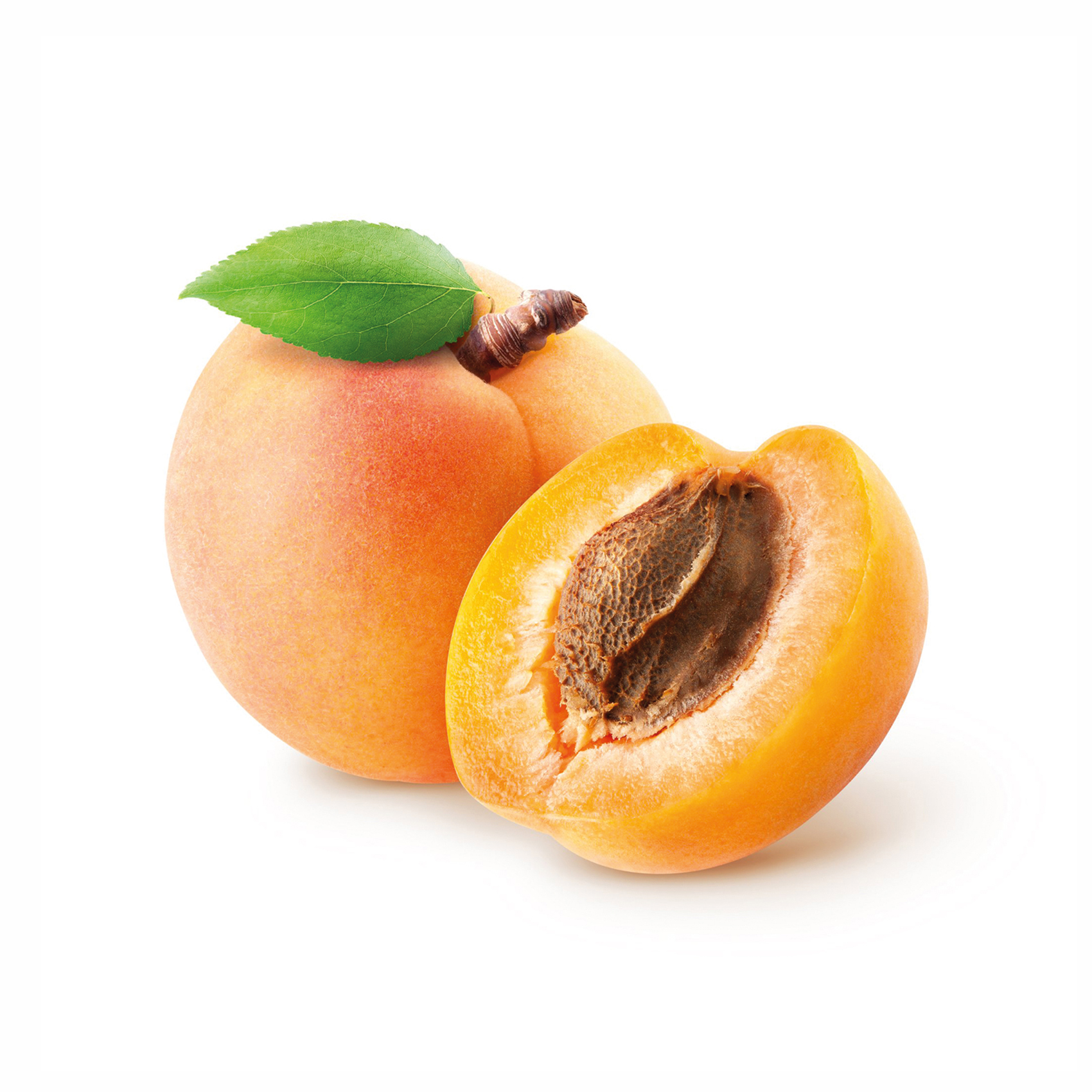 APRICOT KERNEL OIL - Rootpharma
